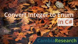 Cambia Research - Software Better